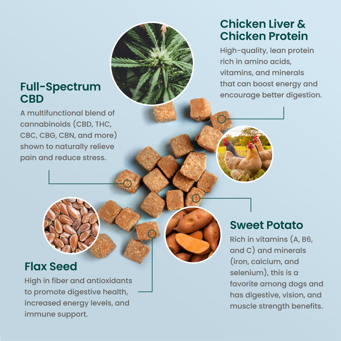 R&R CBD – 5mg Hemp Extract Dog Chews (Chicken Flavored)