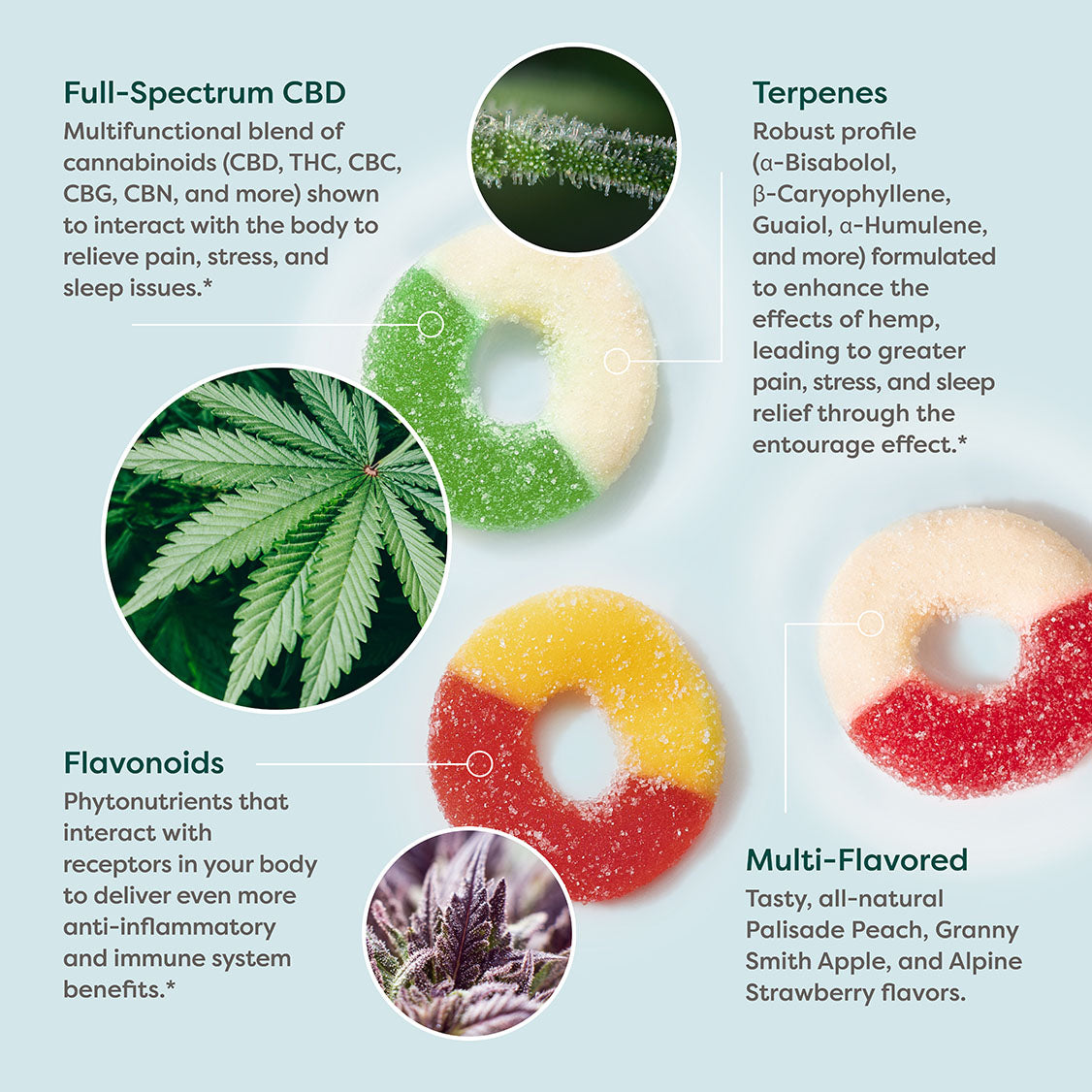 Multifunctional CBD Gummies – R&R CBD